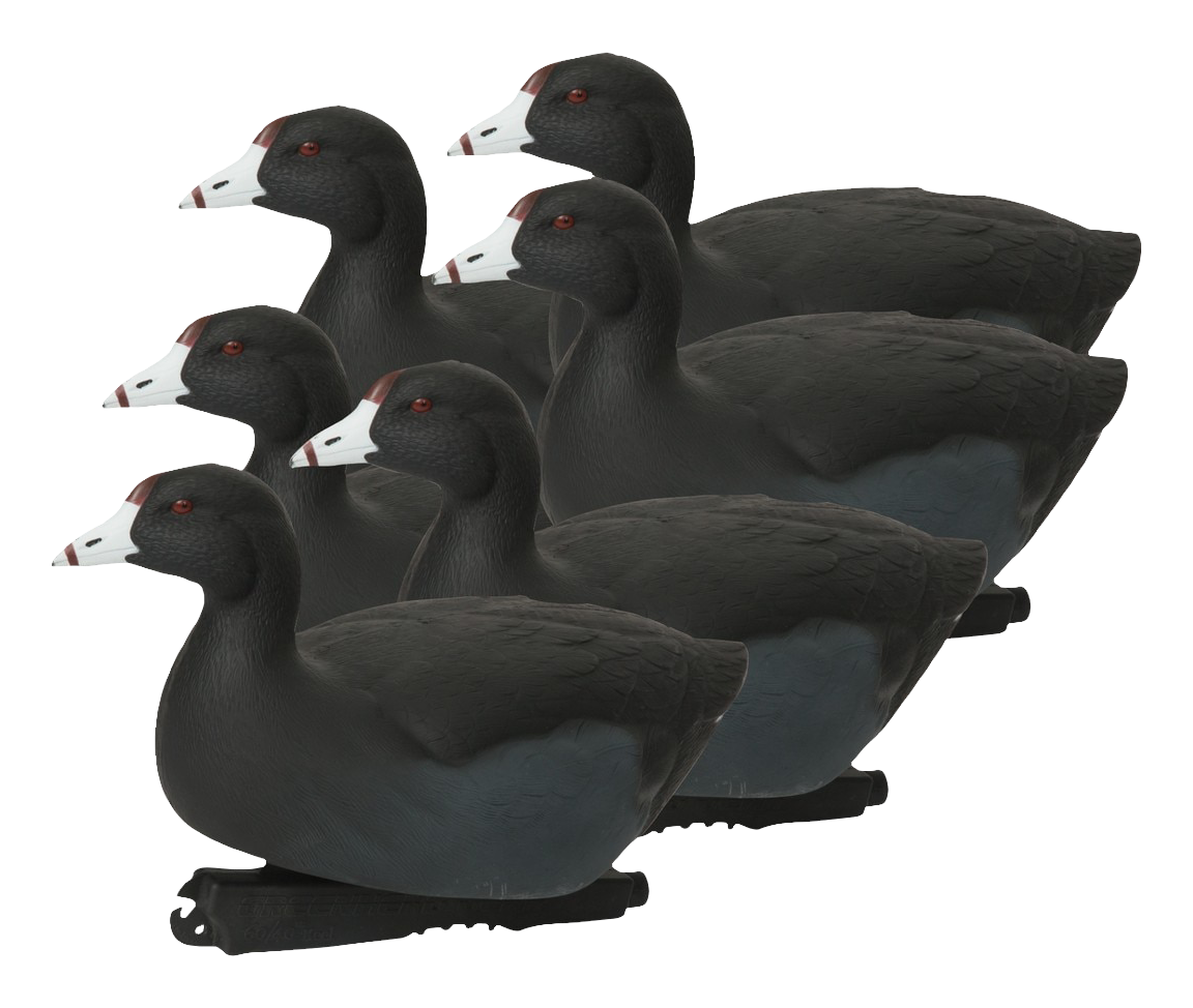 GHG Over Size Coot Decoys 6 Pack | Cabela's
